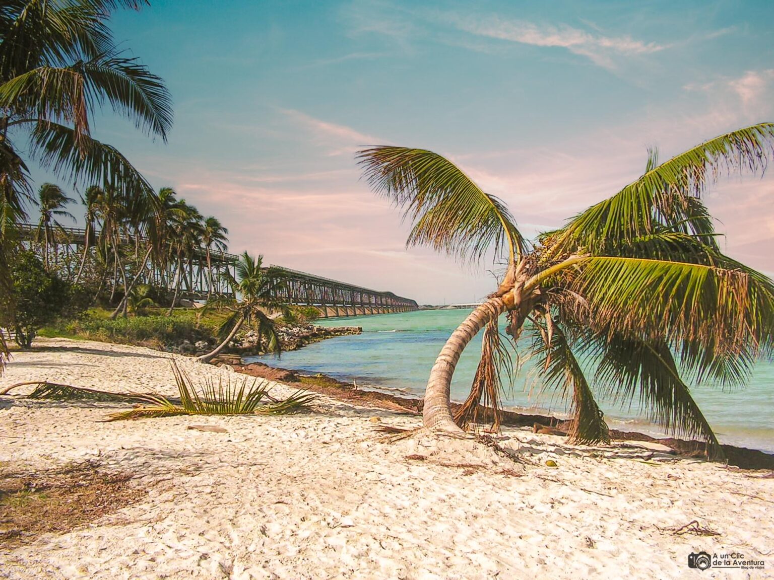 20 mejores lugares que ver en MIAMI