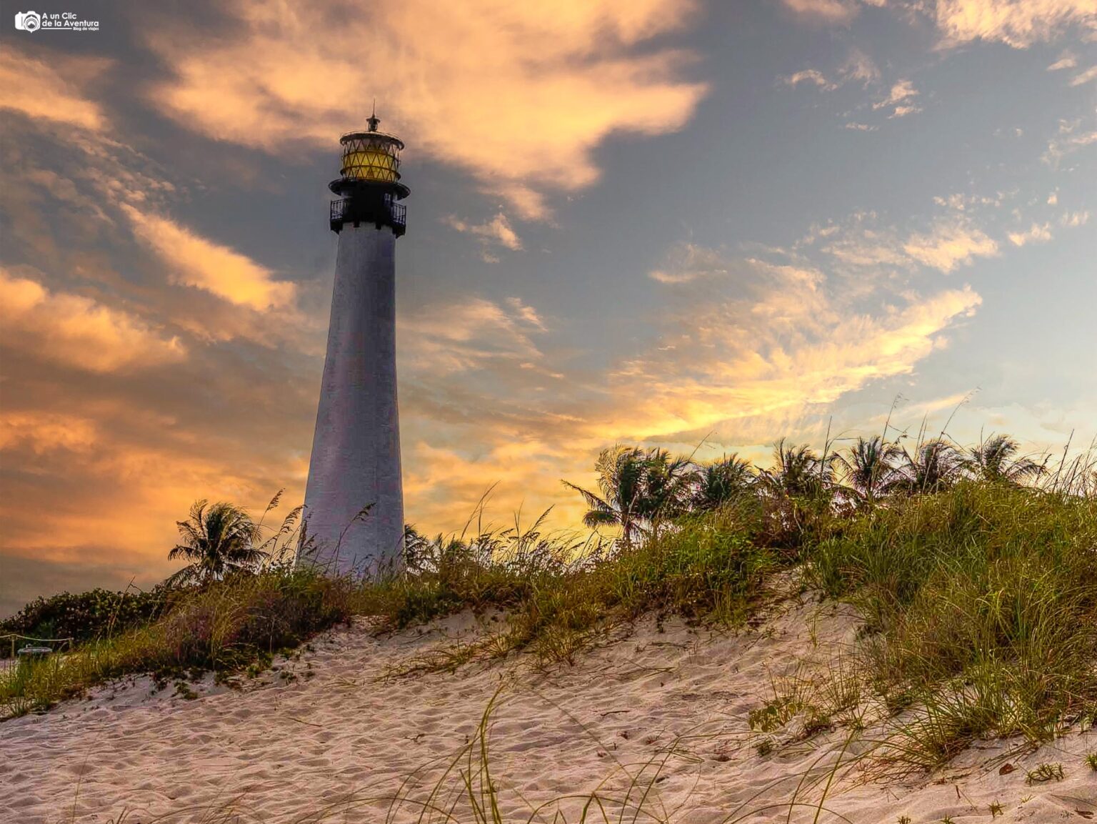 20 mejores lugares que ver en MIAMI