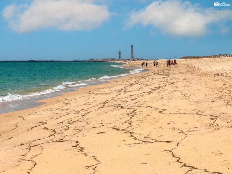 FARO Portugal, qué ver en la CAPITAL DEL ALGARVE