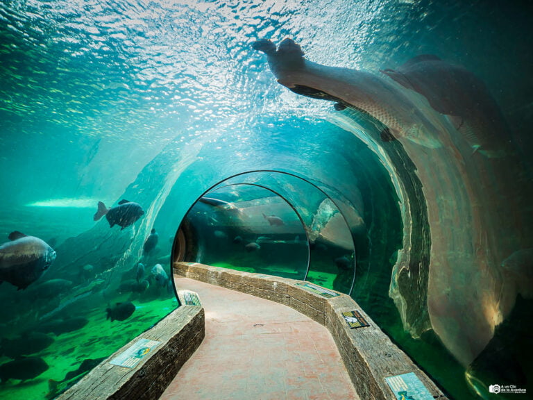 20 Planes divertidos que hacer en MADRID CON NIÑOS