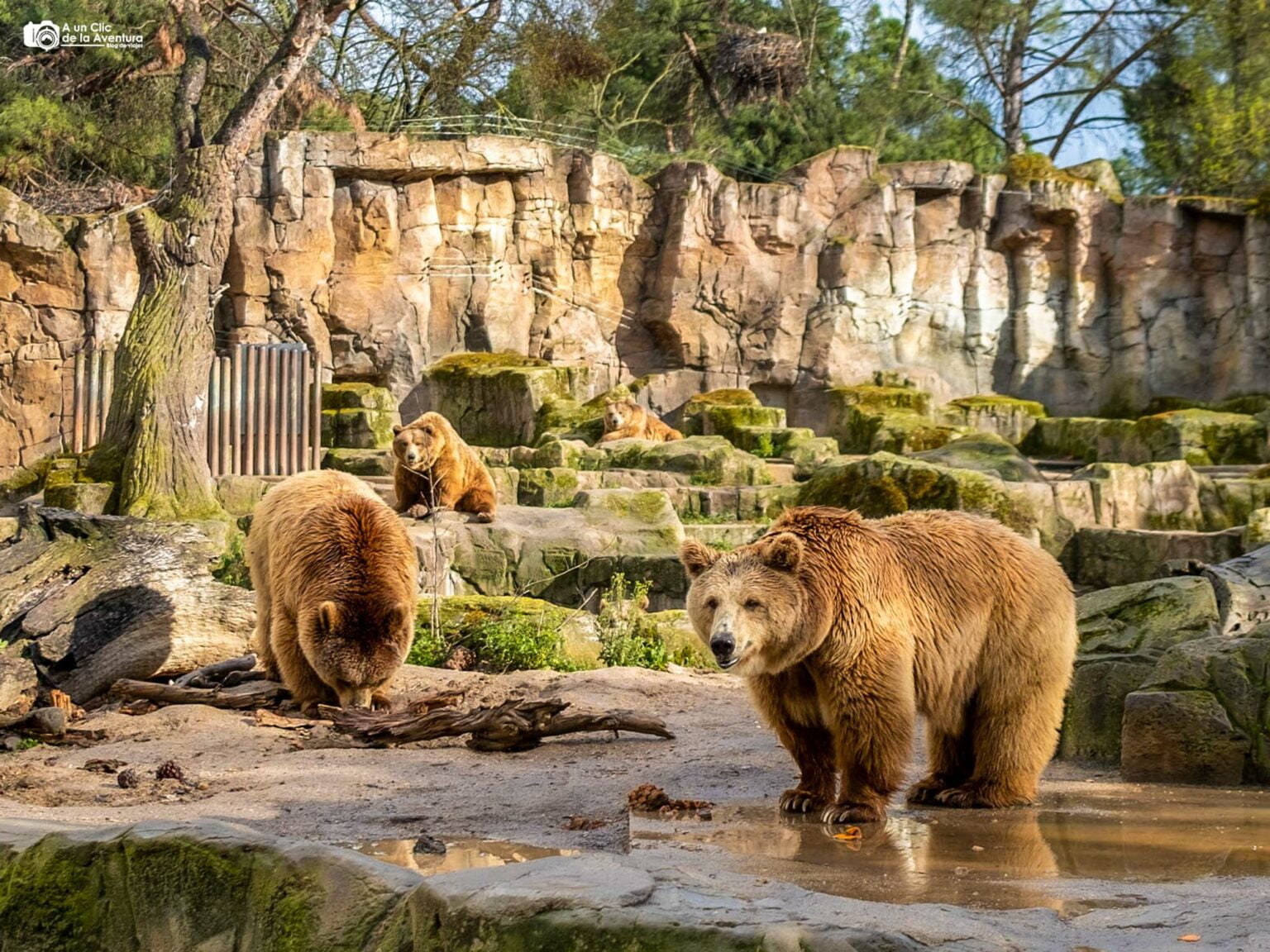 20 Planes divertidos que hacer en MADRID CON NIÑOS