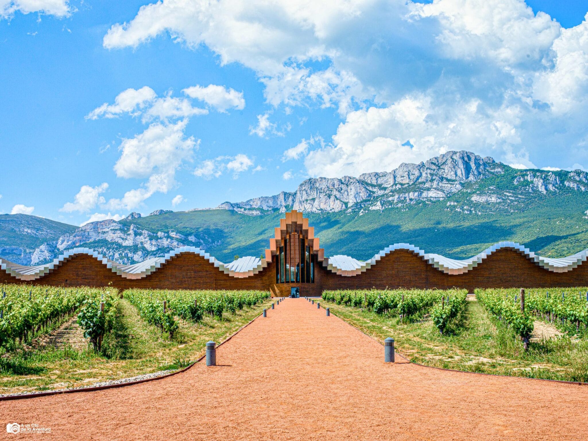 Las 10 mejores bodegas de La Rioja para enoturismo